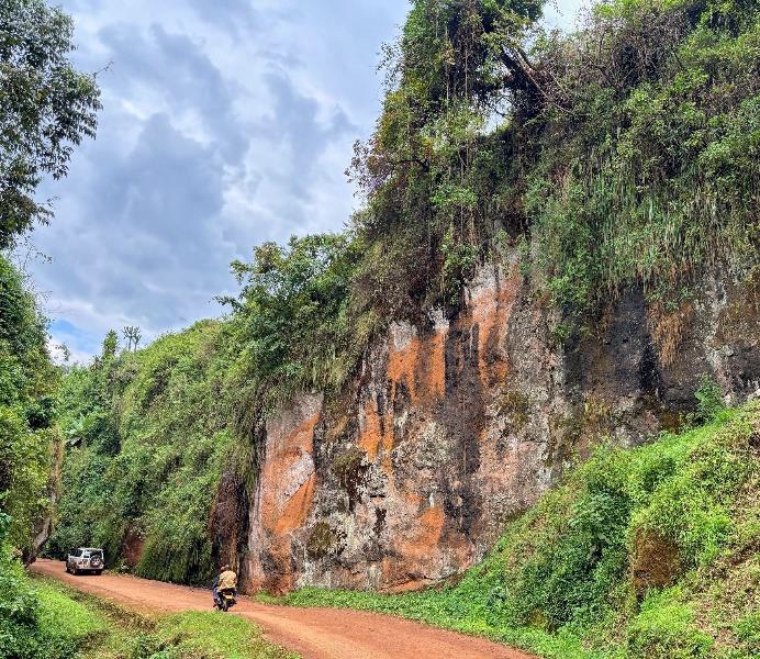 Uganda Coffee Beans - Airabica Roasters